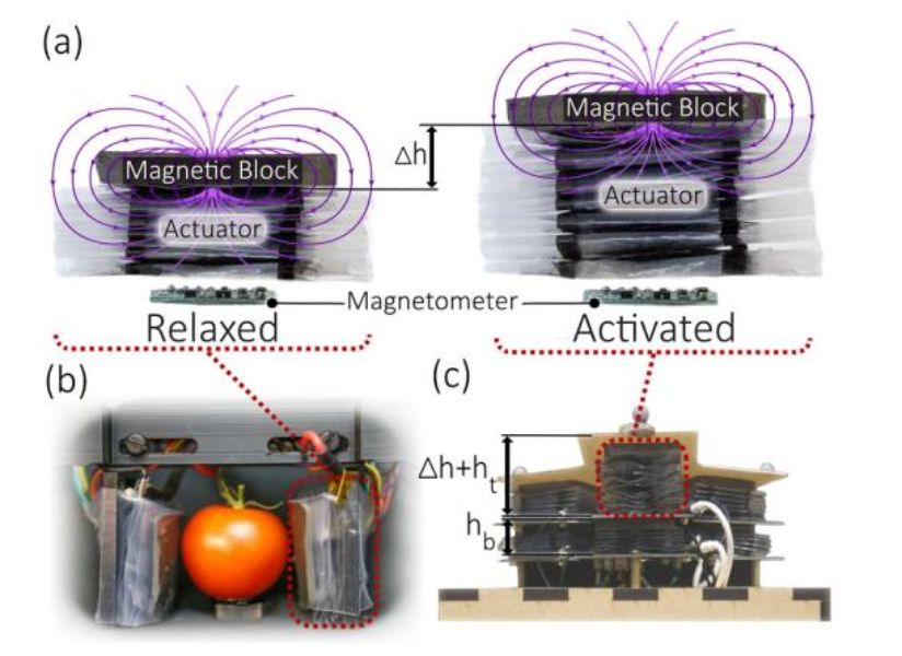 Embedded Magnetic Sensing for Feedback Control of Soft HASEL Actuators ...