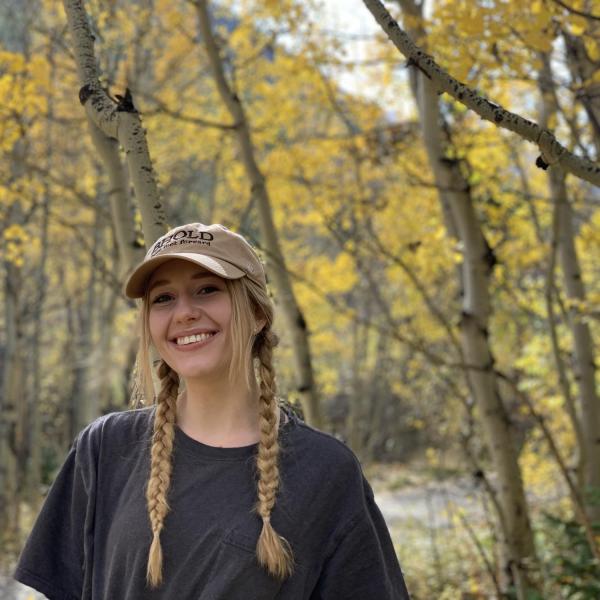 Colleen Johnson | Global Projects and Organizations Research Group ...