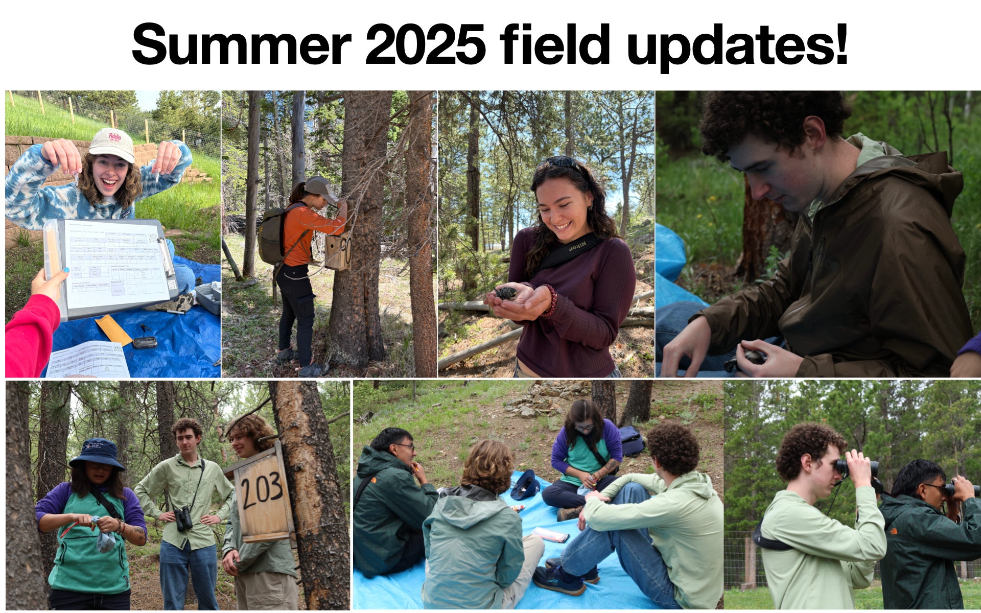 The 2025 field season has flown by! | The Taylor Lab | University of ...