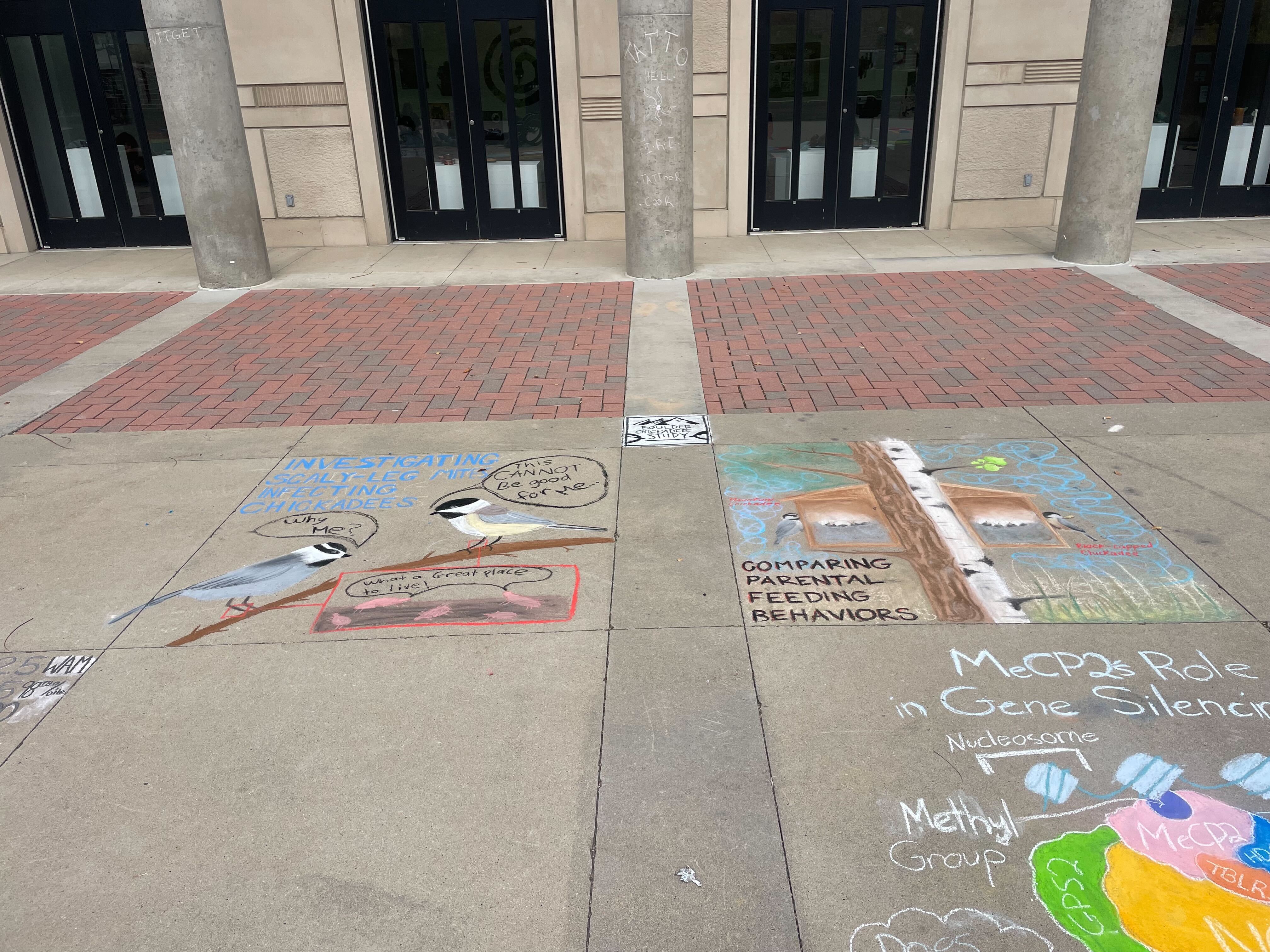 Eva and Sam participate in the UROP Sidewalk Symposium! | The Taylor ...