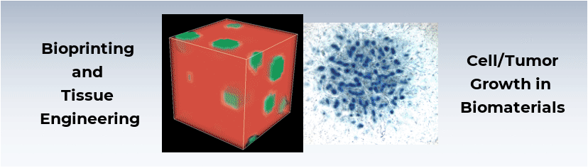 Research | Vernerey Research Group | University of Colorado Boulder