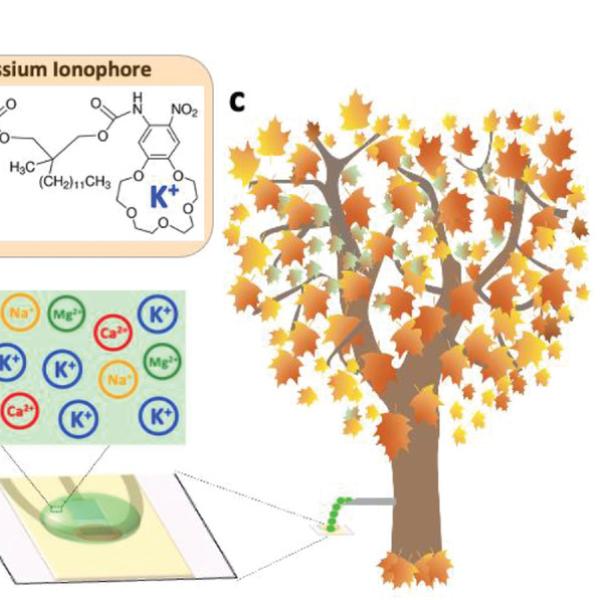 Our new paper on Printed Organic Electrochemical Transistors for ...
