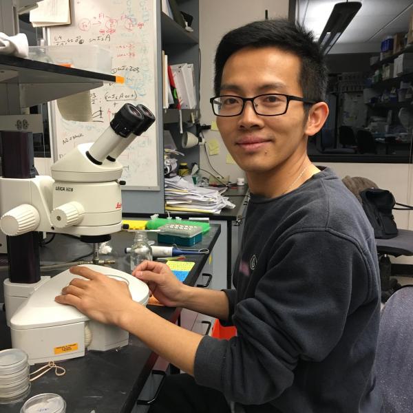 Xiaoqui Wu | Xue Lab | University of Colorado Boulder