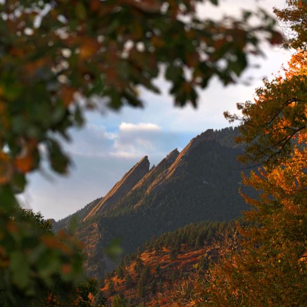 Embracing Challenges: Reflections on the CU Center for Leadership Event ...