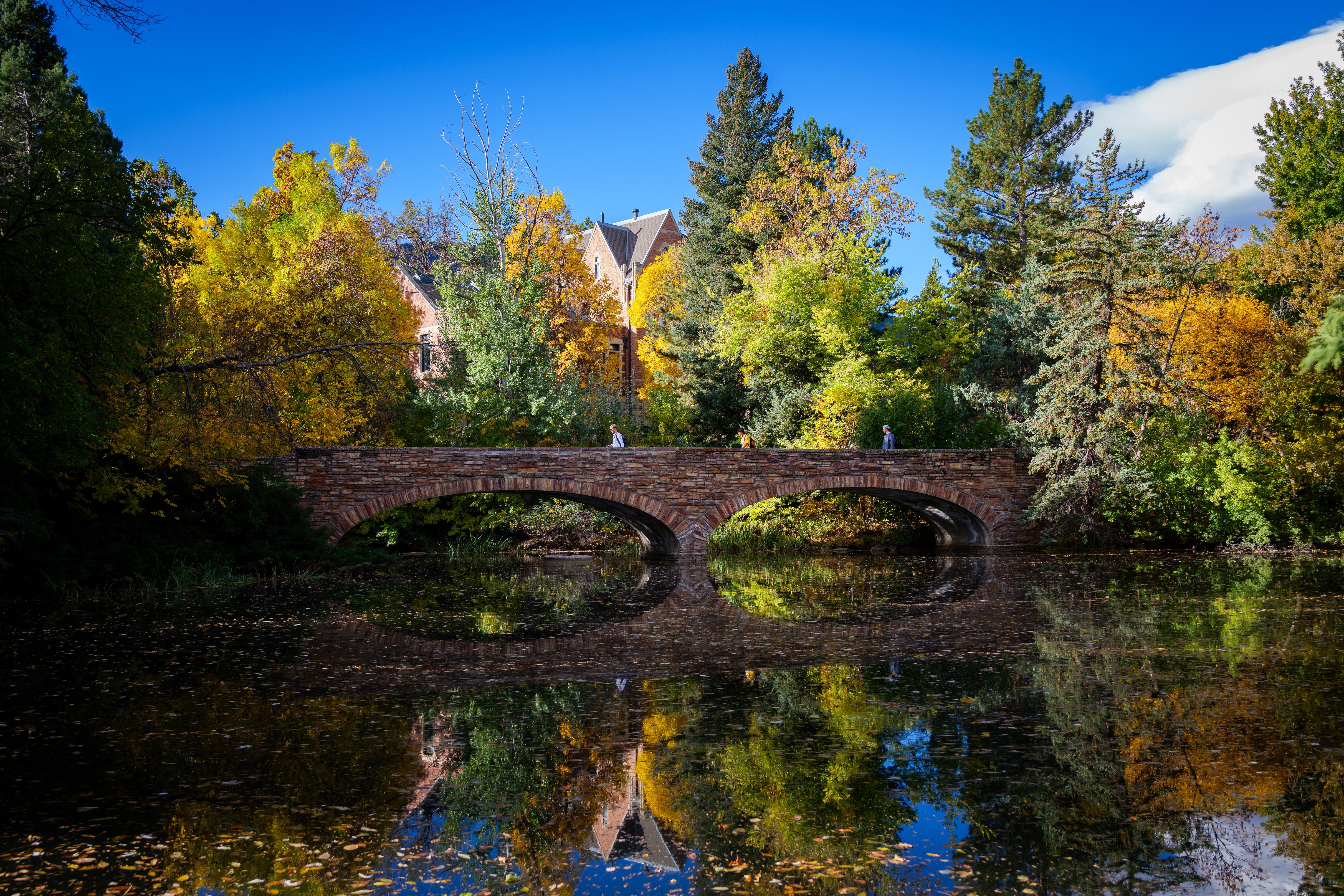 Home | Leadership Support and Programming | University of Colorado Boulder