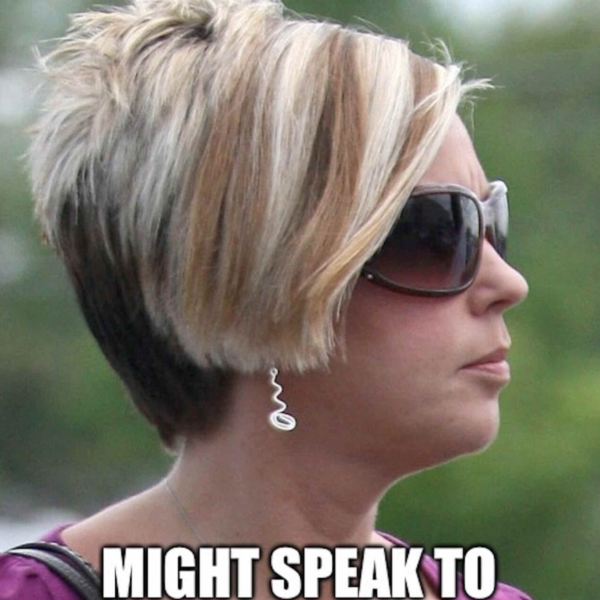 The Evolving Pejoration of "Karen" | Department of Linguistics ...