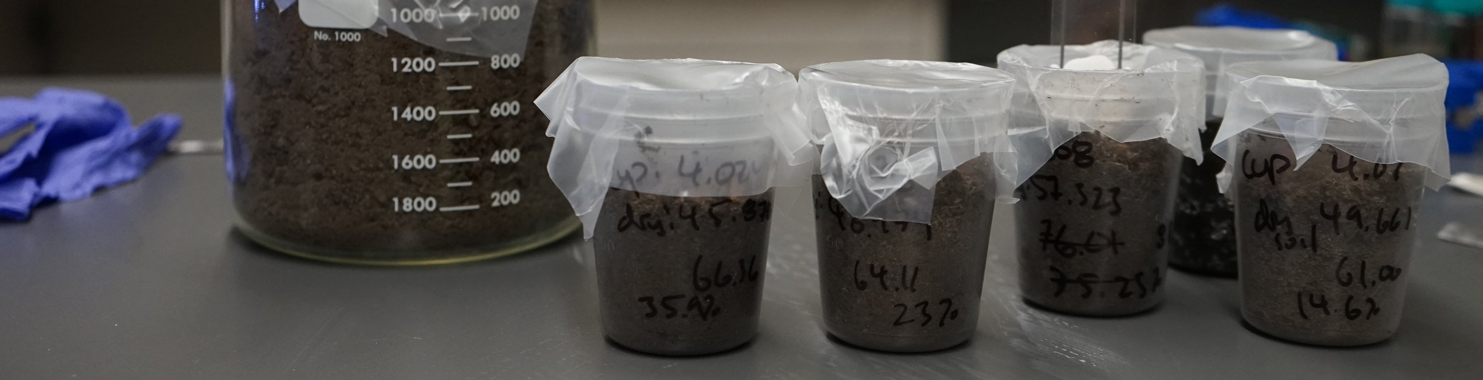 Biodegradable sensors aim to make farming more efficient | Paul M. Rady ...