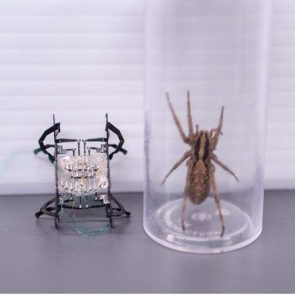 Science documentary series "Evolve" features Jayaram's research | Paul ...