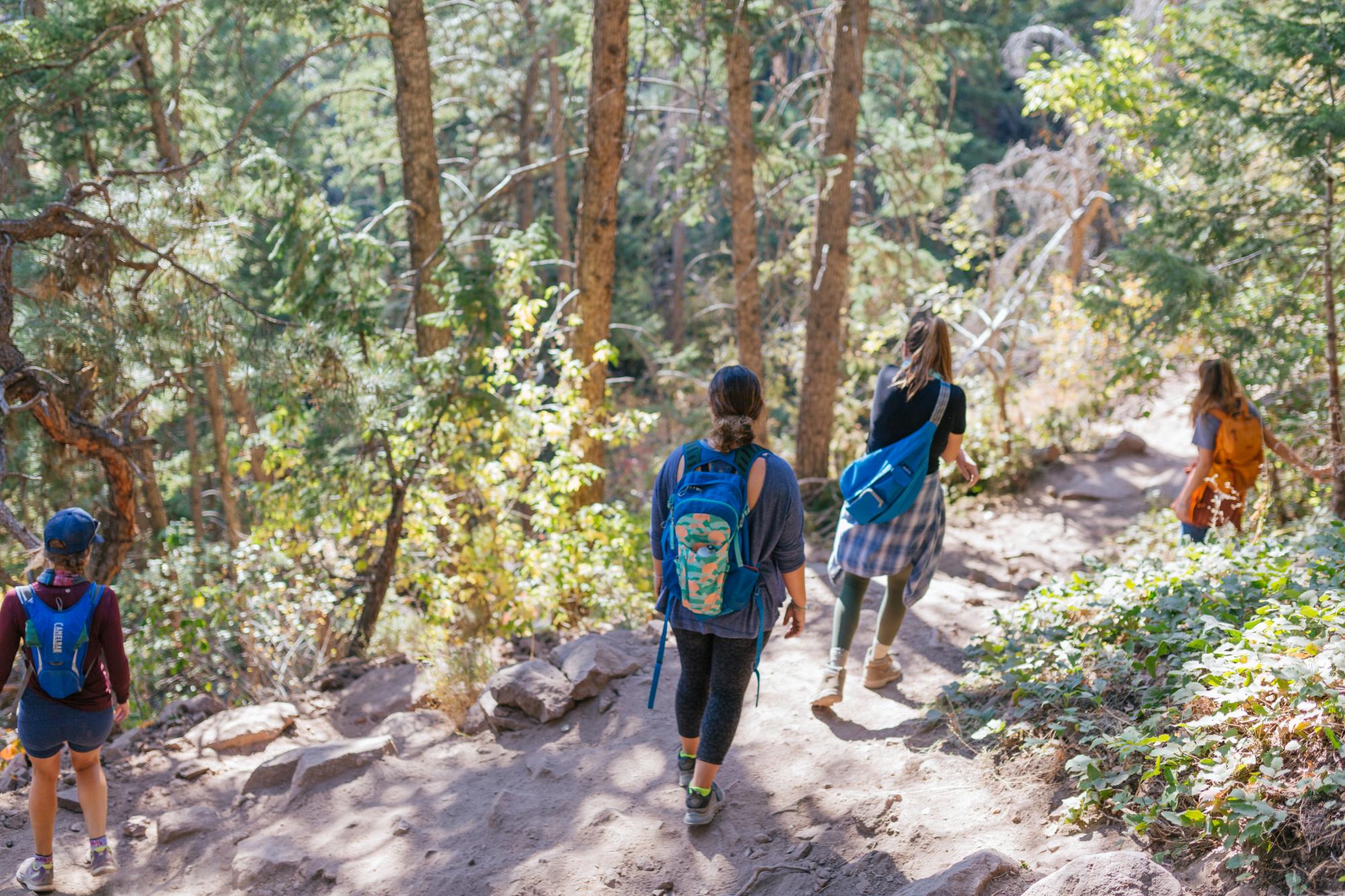 Class of 2021 Reflects on First Semester of MENV Program | Masters of ...