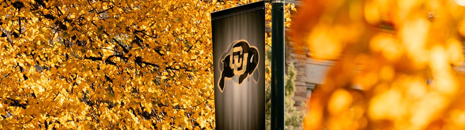 3 things to know about AI and the Honor Code | New Student & Family ...