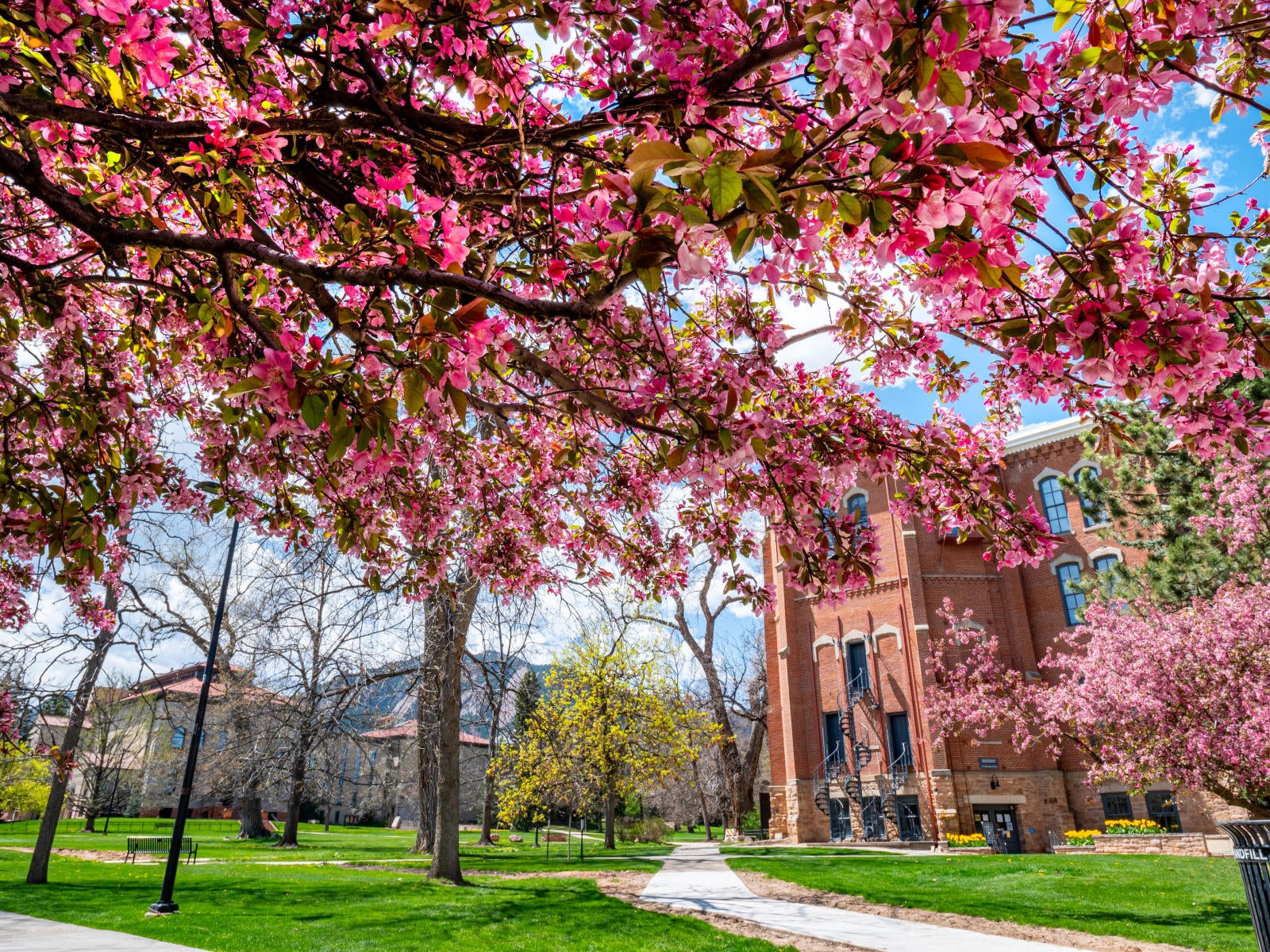 Three physics students awarded NSF Grad Research Fellowships | Physics ...