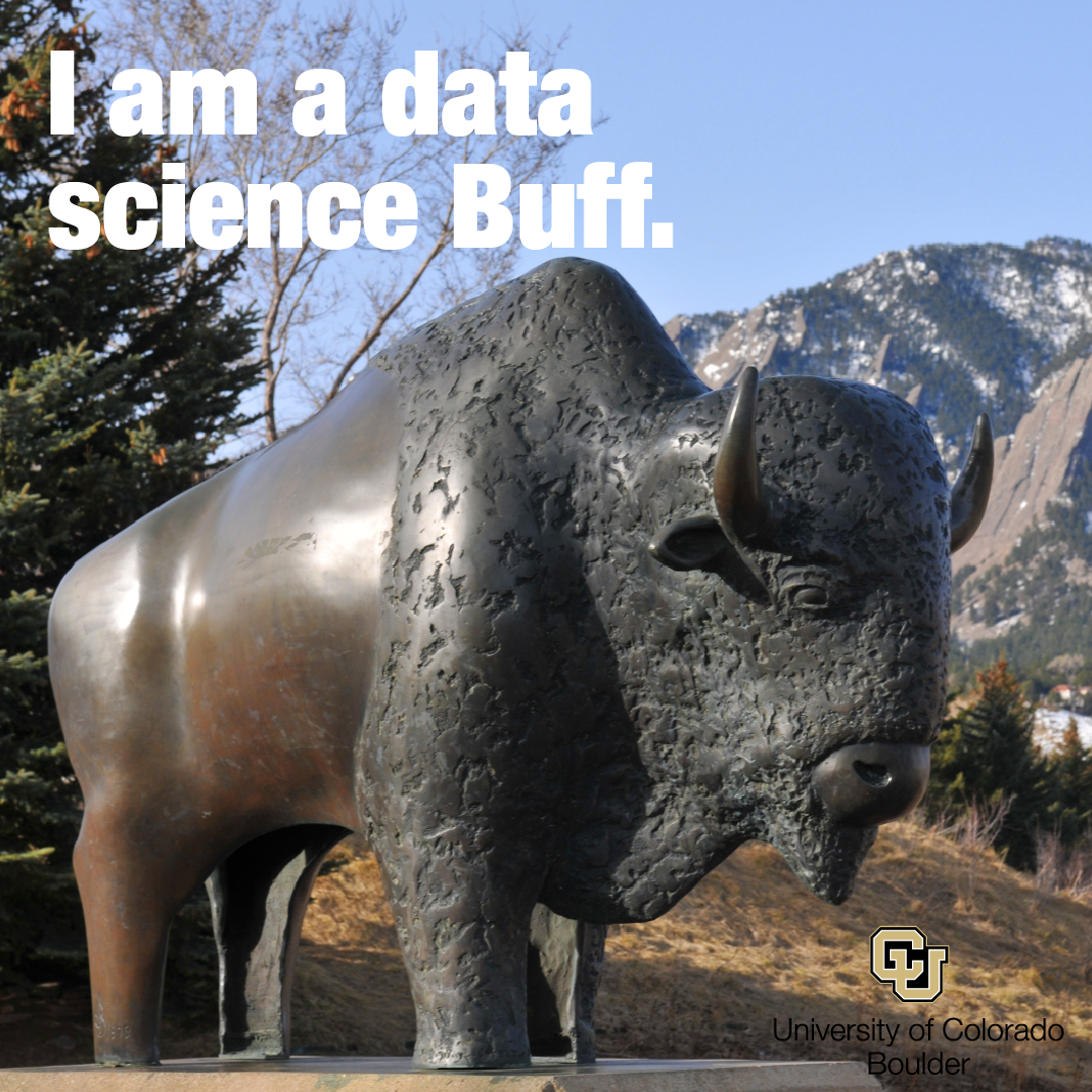 Instagram Post: Buffalo Statue | Master of Science in Data Science ...