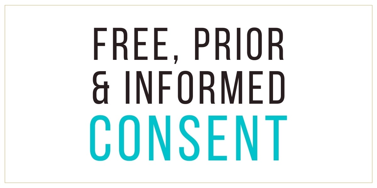Indigenous Peoples’ Free, Prior and Informed Consent: A Priority for ...