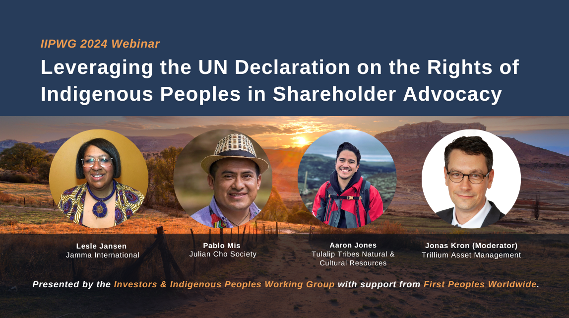 Indigenous Leaders Urge Investor Action for UNDRIP Implementation ...
