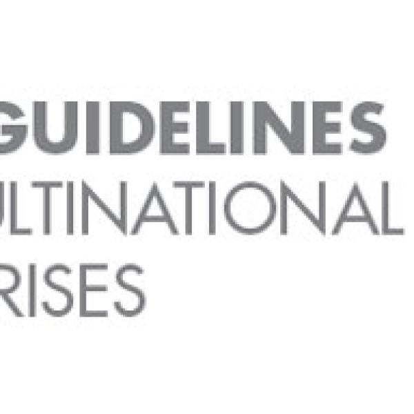 To Improve Multinational Enterprise Guidelines, the OECD Must Make ...