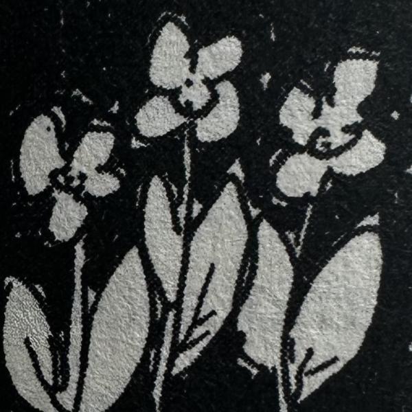 “The Little Flax Flower.” The Turnip Princess: and other newly ...