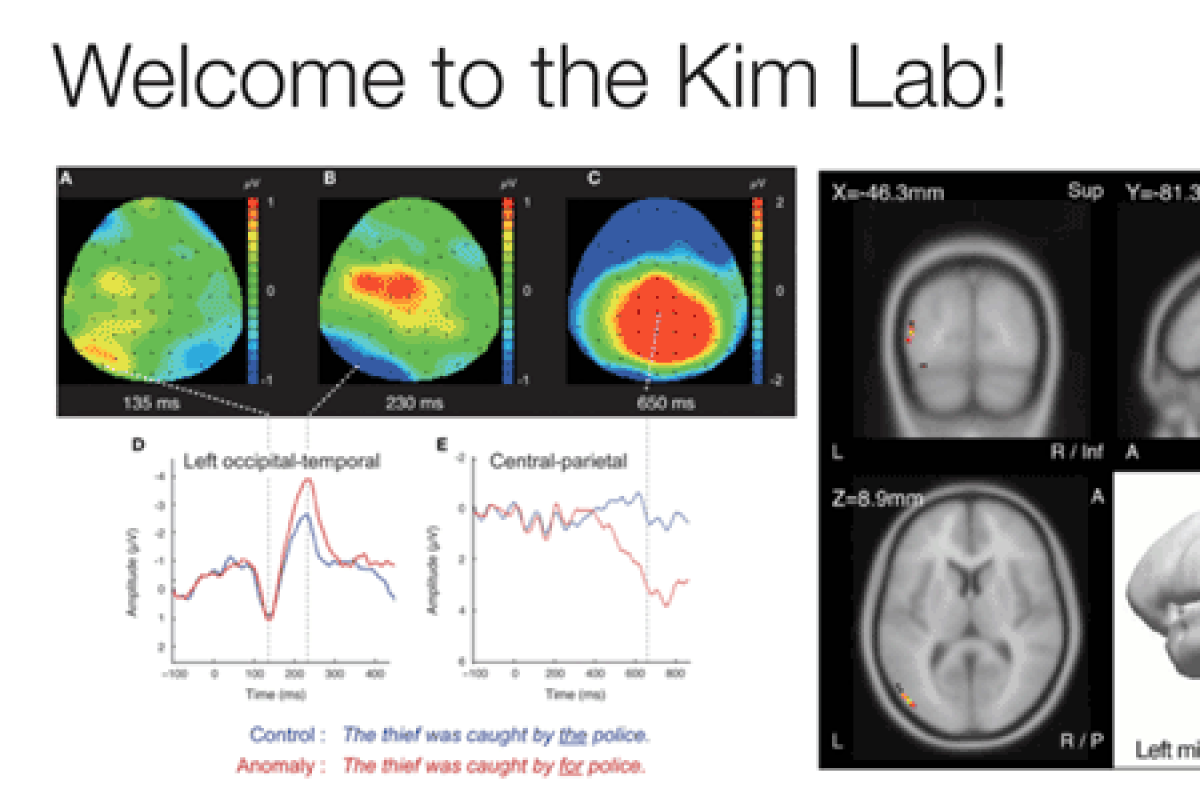 Faculty Research Labs | Psychology and Neuroscience | University of ...