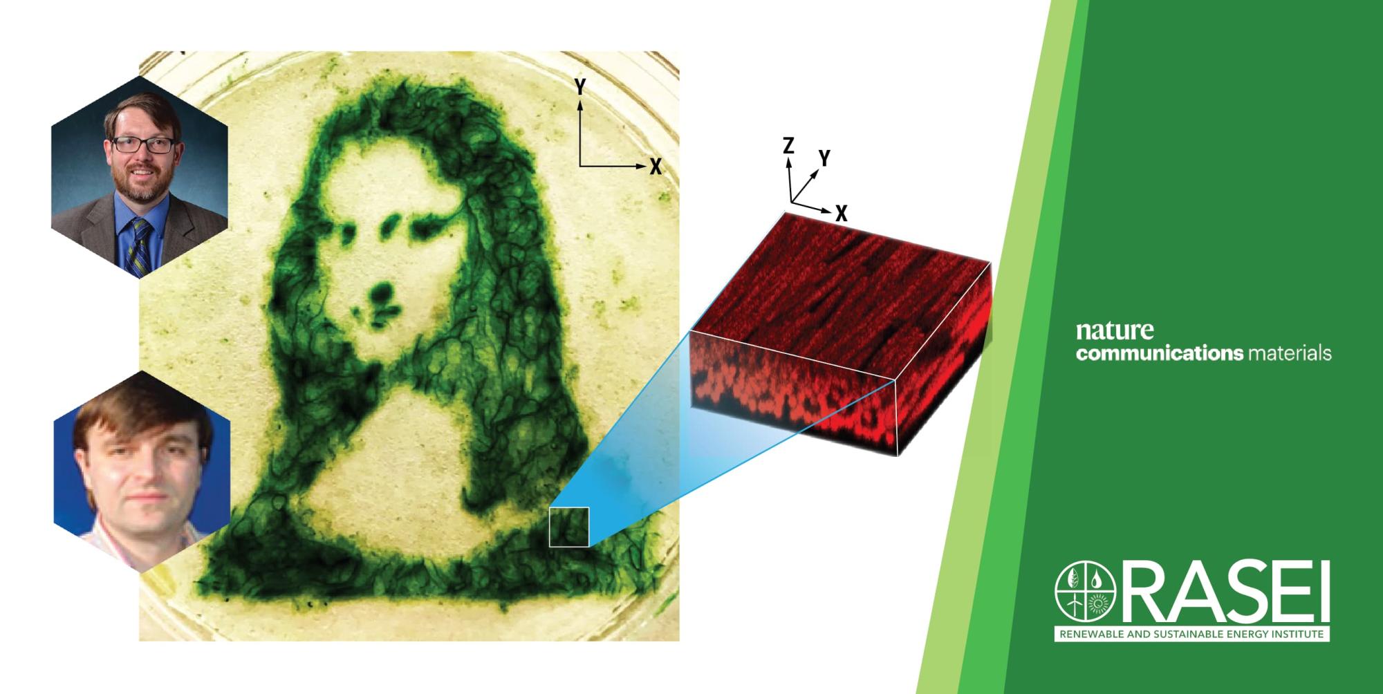 Bacterial Disco Lights: Using light to control the movement and ...