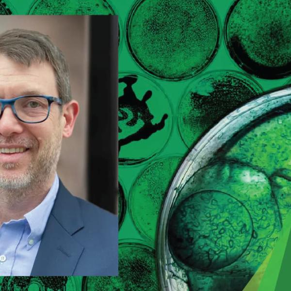 Mourning the loss of Jeffrey Cameron | Renewable And Sustainable Energy ...