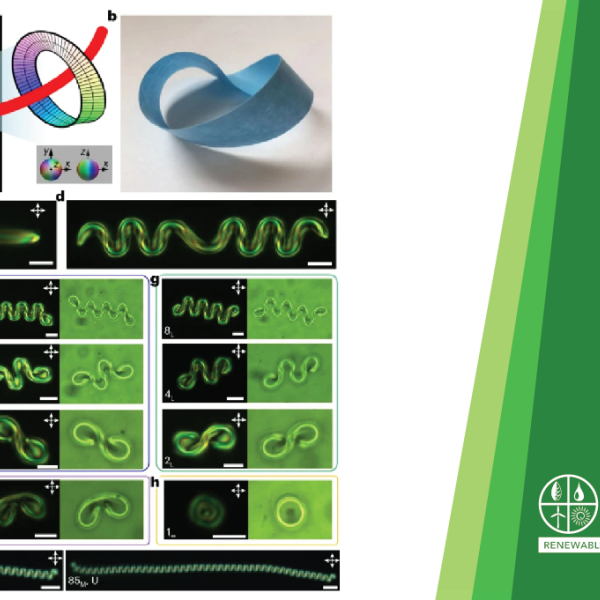 Liquid crystal defect structures with Möbius strip topology | Renewable ...
