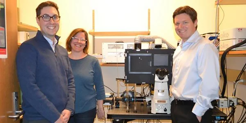 Dragavon named interim director of Core Facilities and Shared ...