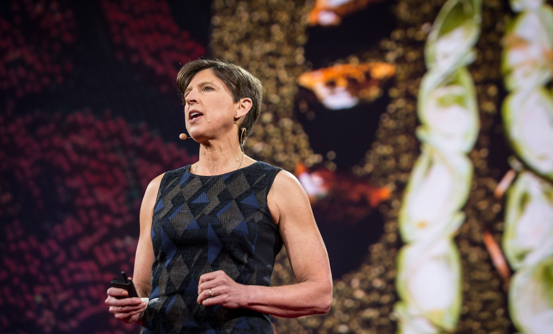 Award-winning plant geneticist Pam Ronald to give Rose M. Litman ...