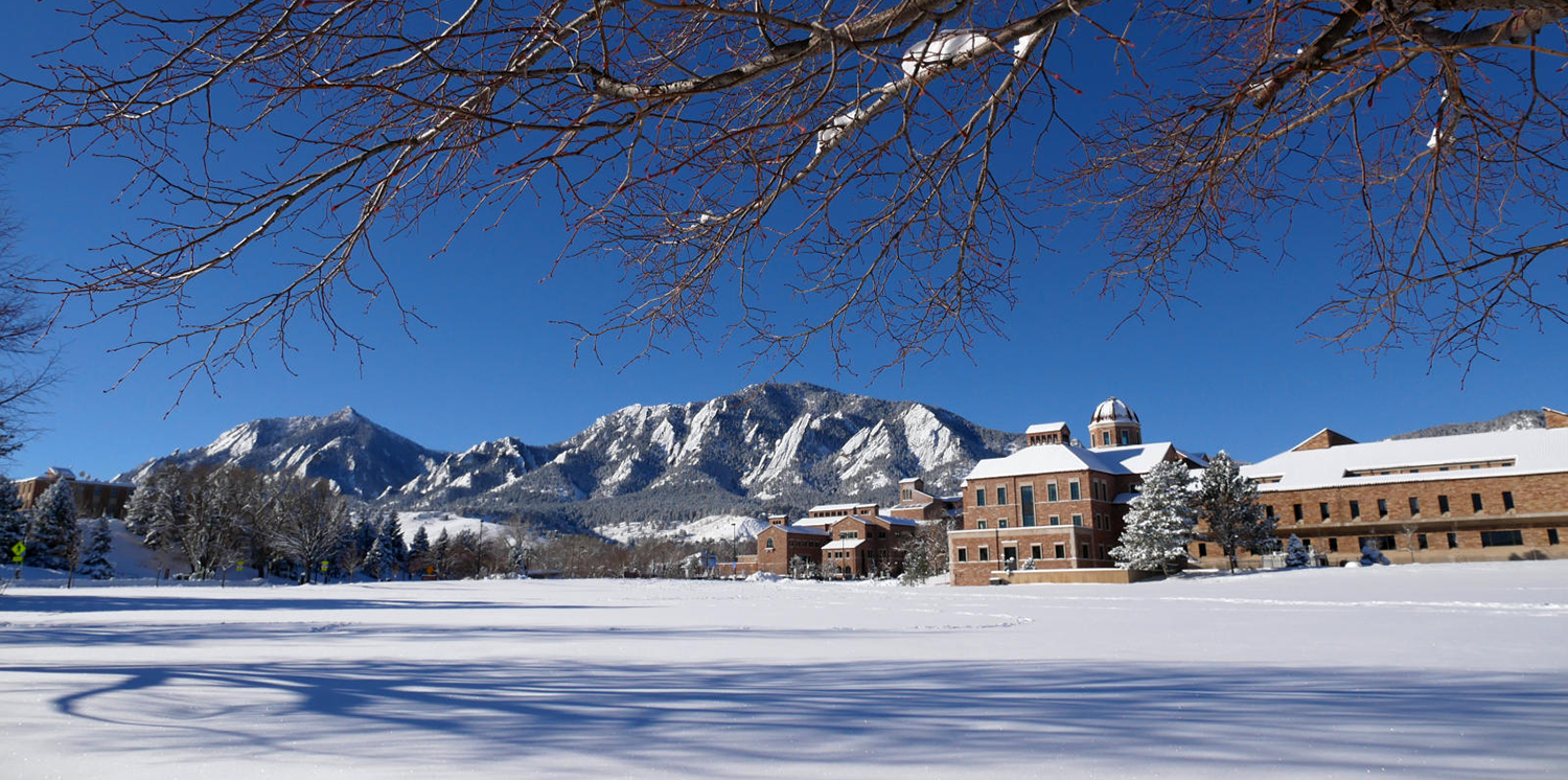 Recipients of 2020 Research & Innovation Seed Grants totaling $1.1 ...