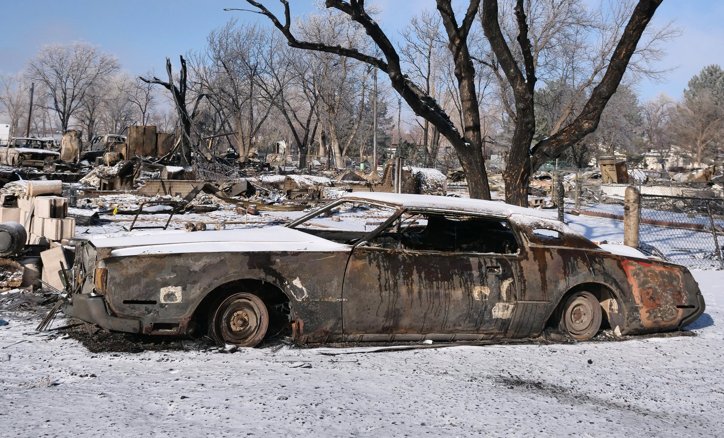 Wildfire brings devastation, then rebirth | University of Colorado Boulder