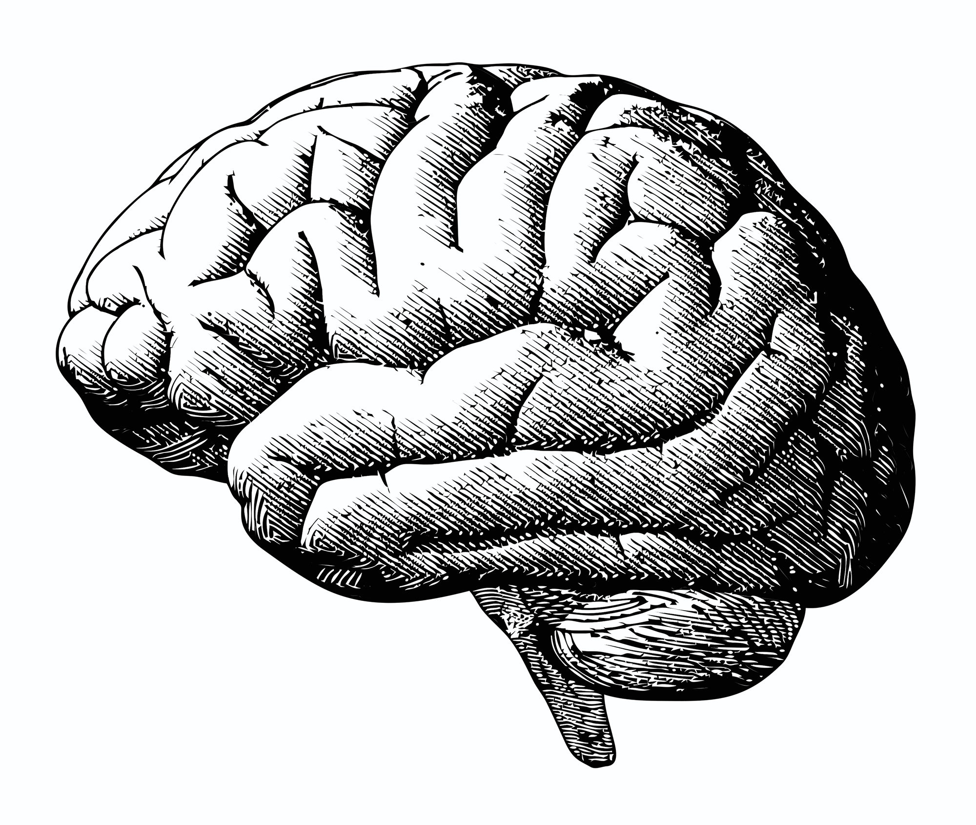 ‘Brain signature’ discovery could yield faster diagnosis for ...