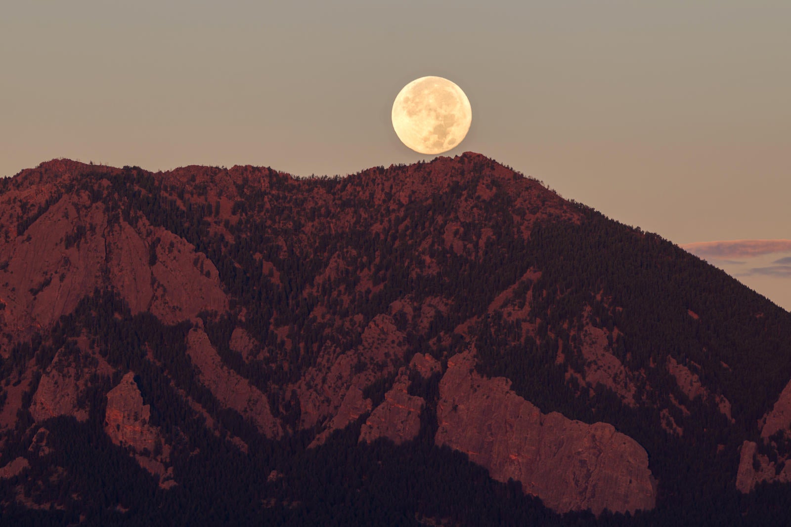 Kyle Freeman | Speech, Language, and Hearing Sciences | University of ...