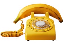 Alumni | Smith Lab Department of Ecology and Evolutionary Biology ...