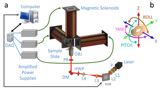 Simultaneous Holonomic Magnetic and Holographic Optical Manipulations ...