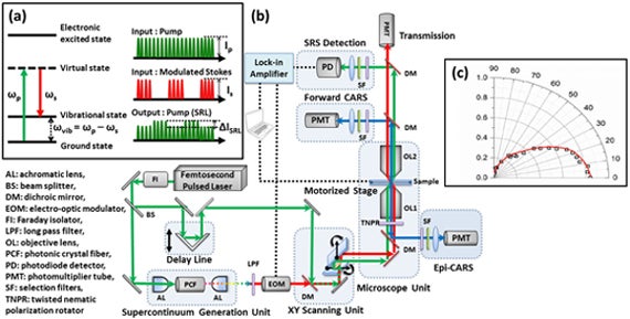 Stimulated Raman Scattering Polarizing Microscopy | Soft Matter Physics ...
