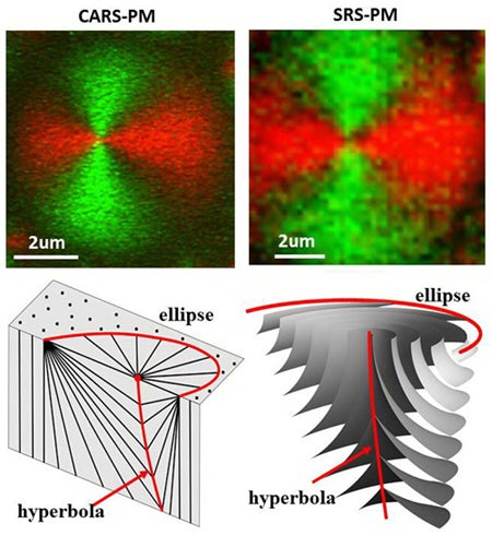 Stimulated Raman Scattering Polarizing Microscopy | Soft Matter Physics ...