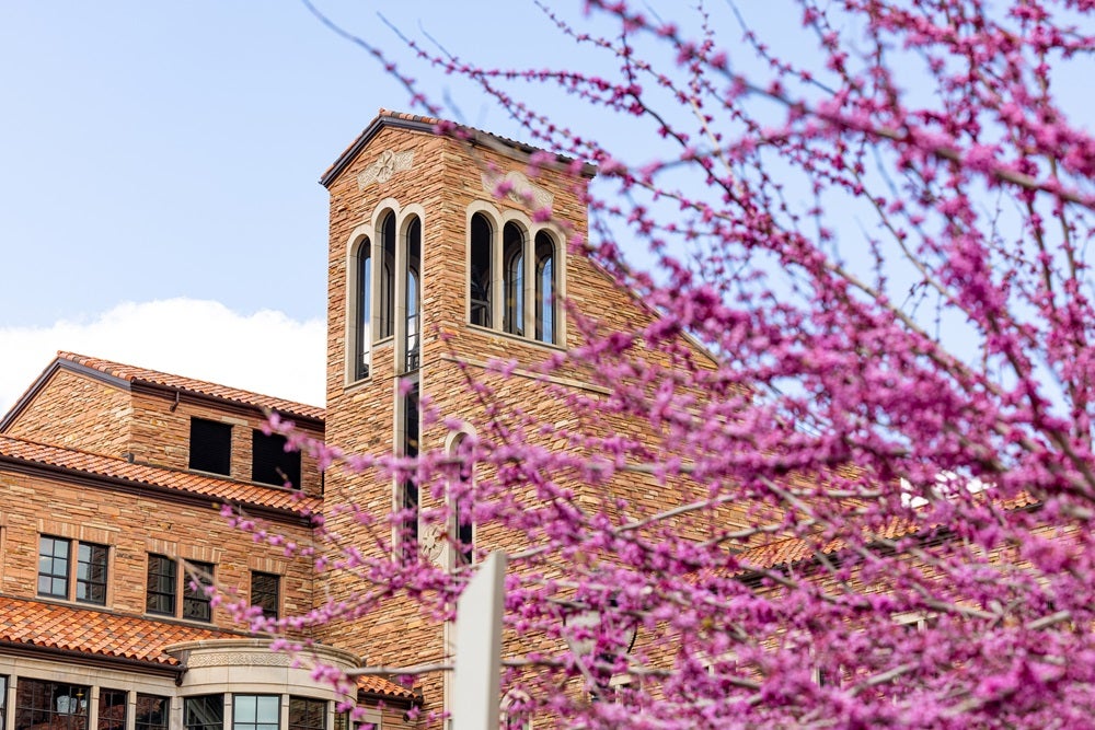 Check out spring wellness workshops | Staff Council | University of ...