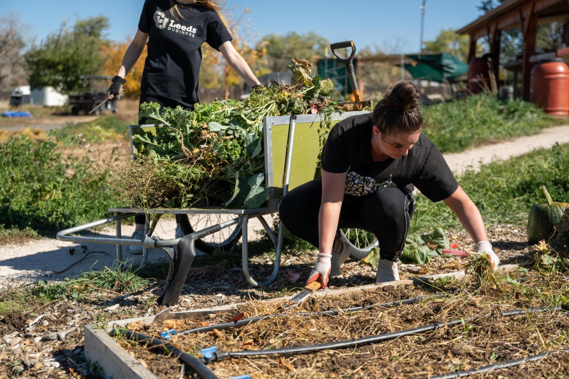 CU Boulder Volunteer Opportunities - CU Serves | Staff Council ...