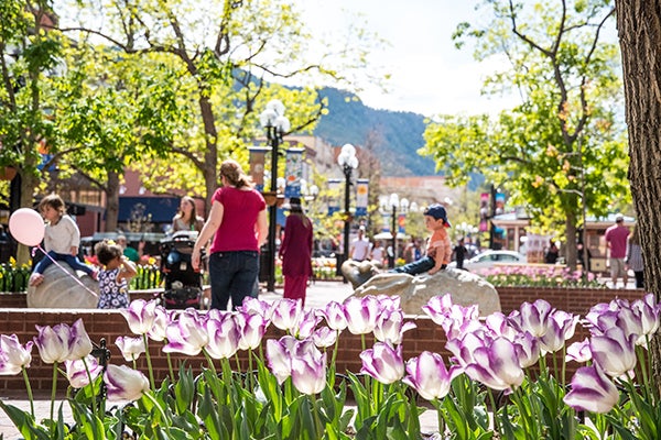 Love Your Local Food | Staff Council | University of Colorado Boulder