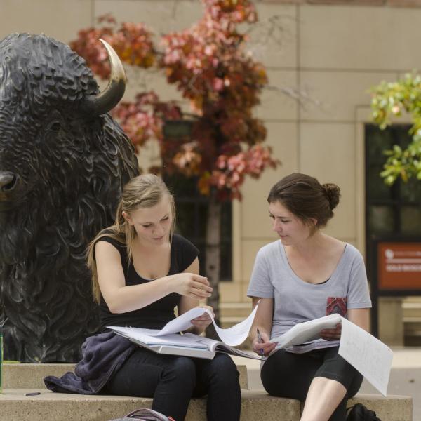 6 tips for successful group projects | Division of Student Life ...