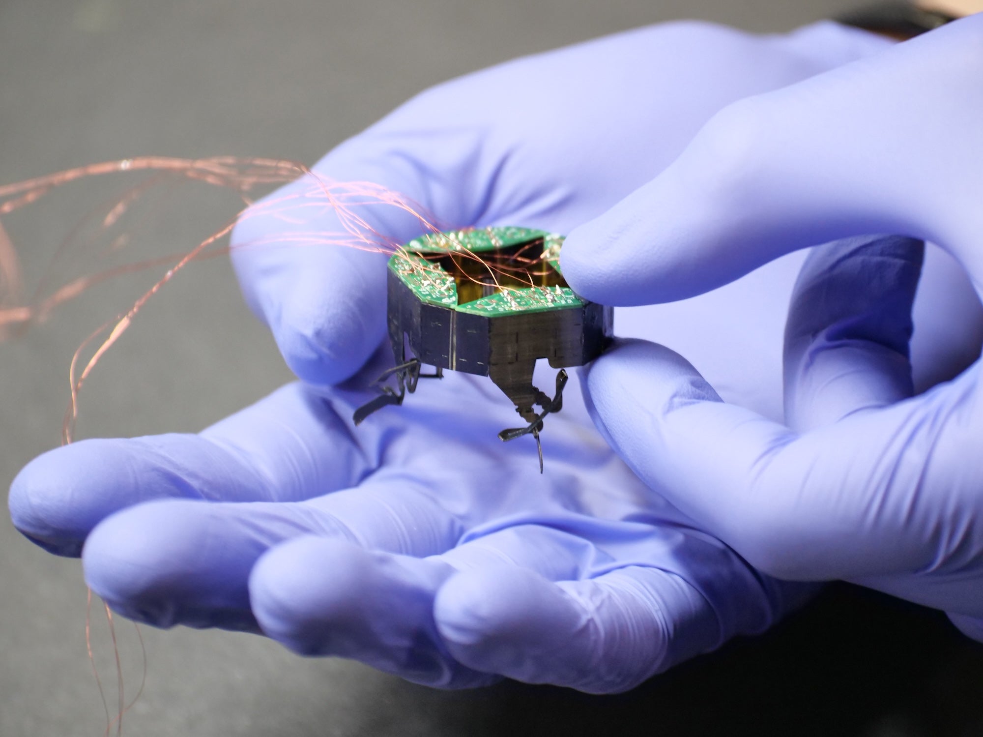 Engineer nabs prestigious grants to design insect-inspired ...