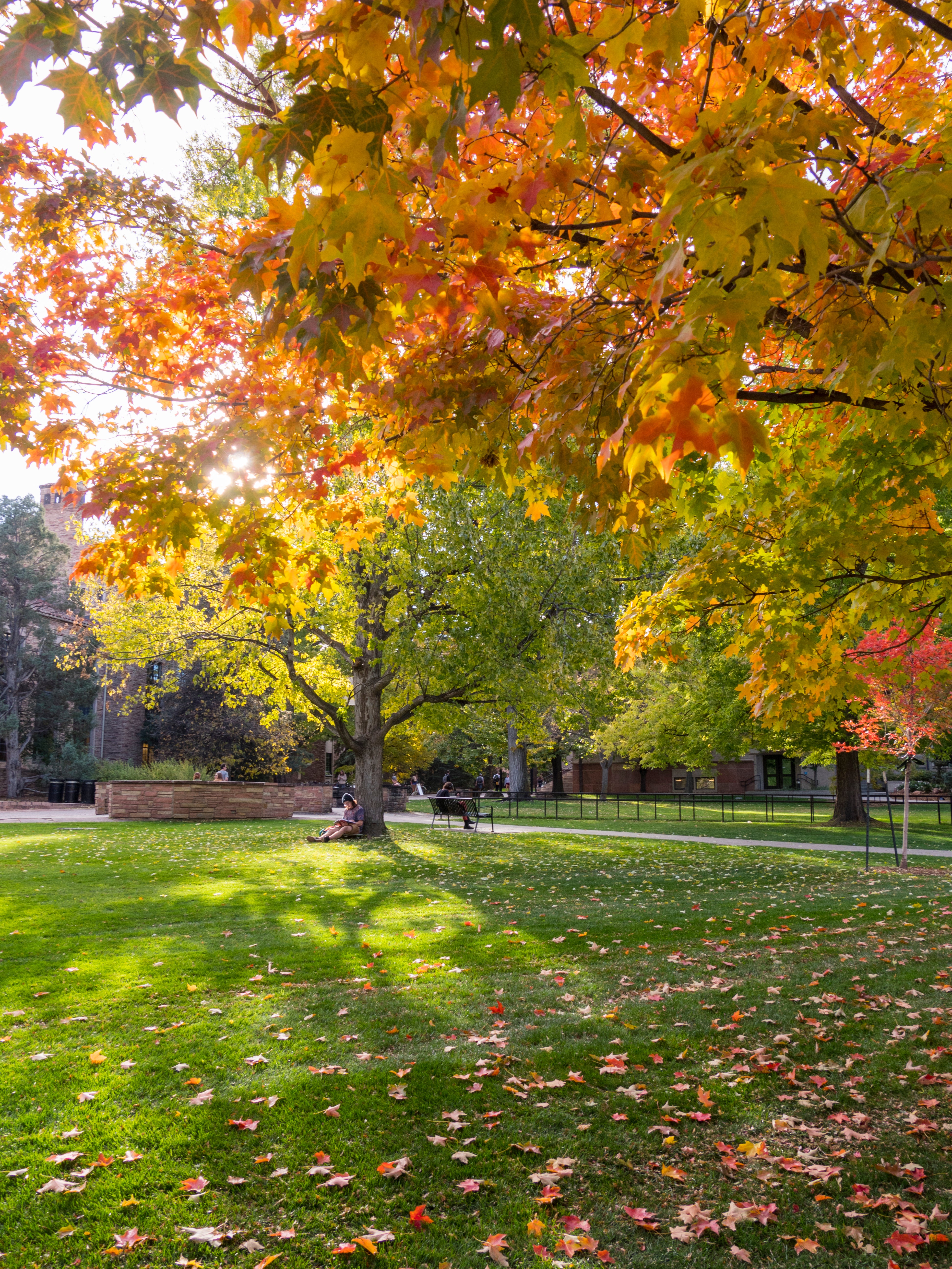 Know key dates for the fall semester | CU Boulder Today | University of ...