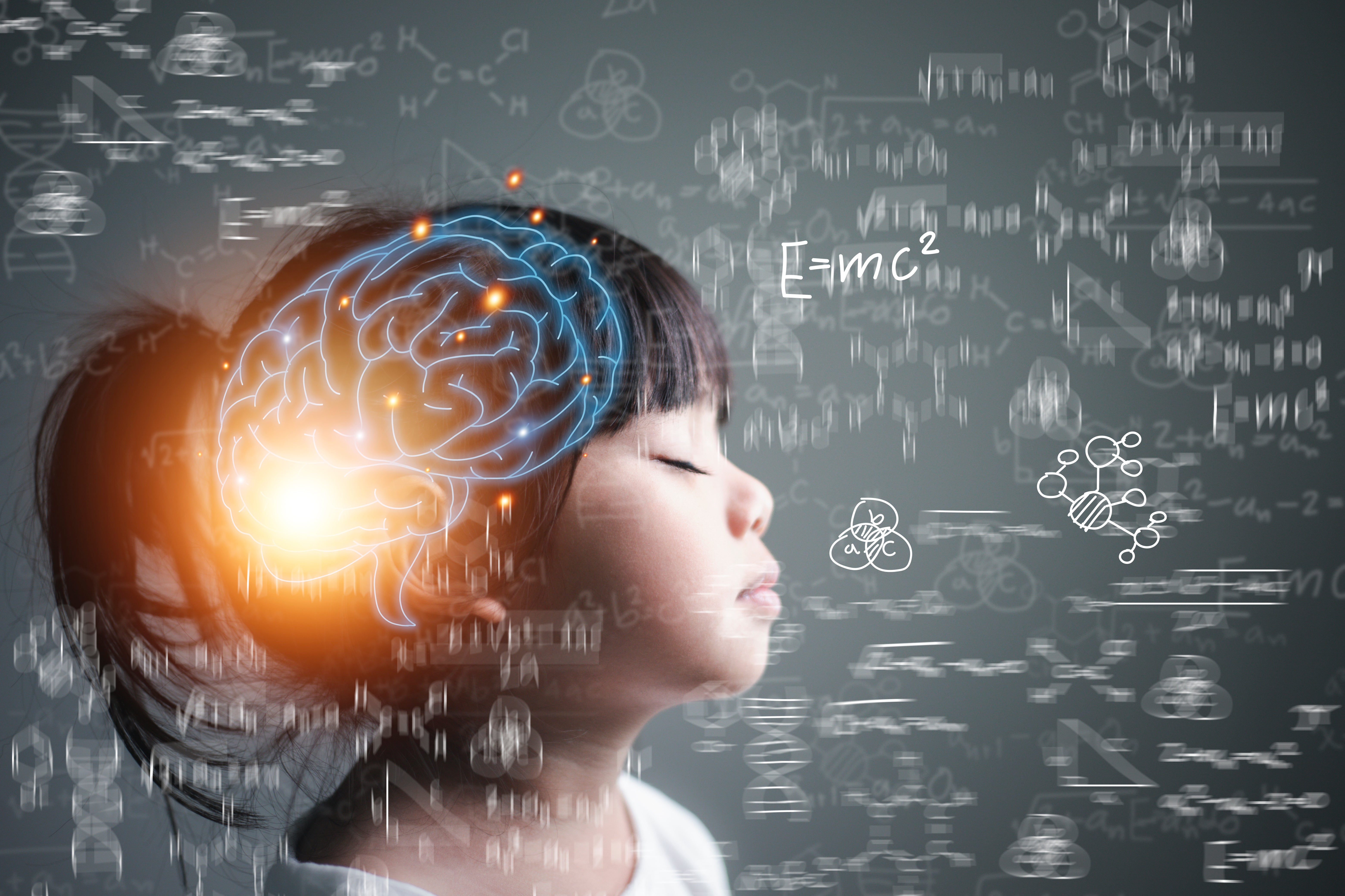 Your brain on imagination: Study reveals how the mind's eye helps us ...