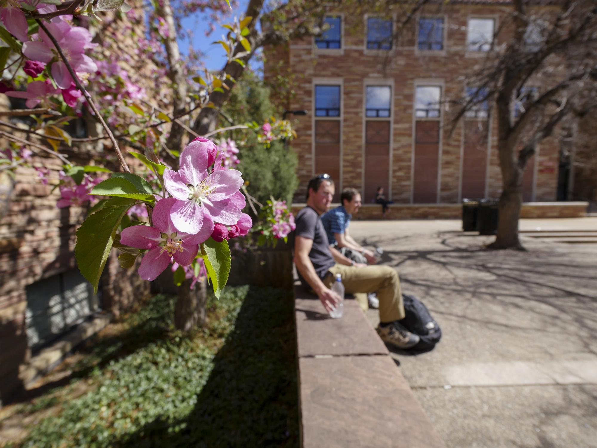 CU Boulder receives ‘I Have A Dream’ award for hosting interns | CU ...