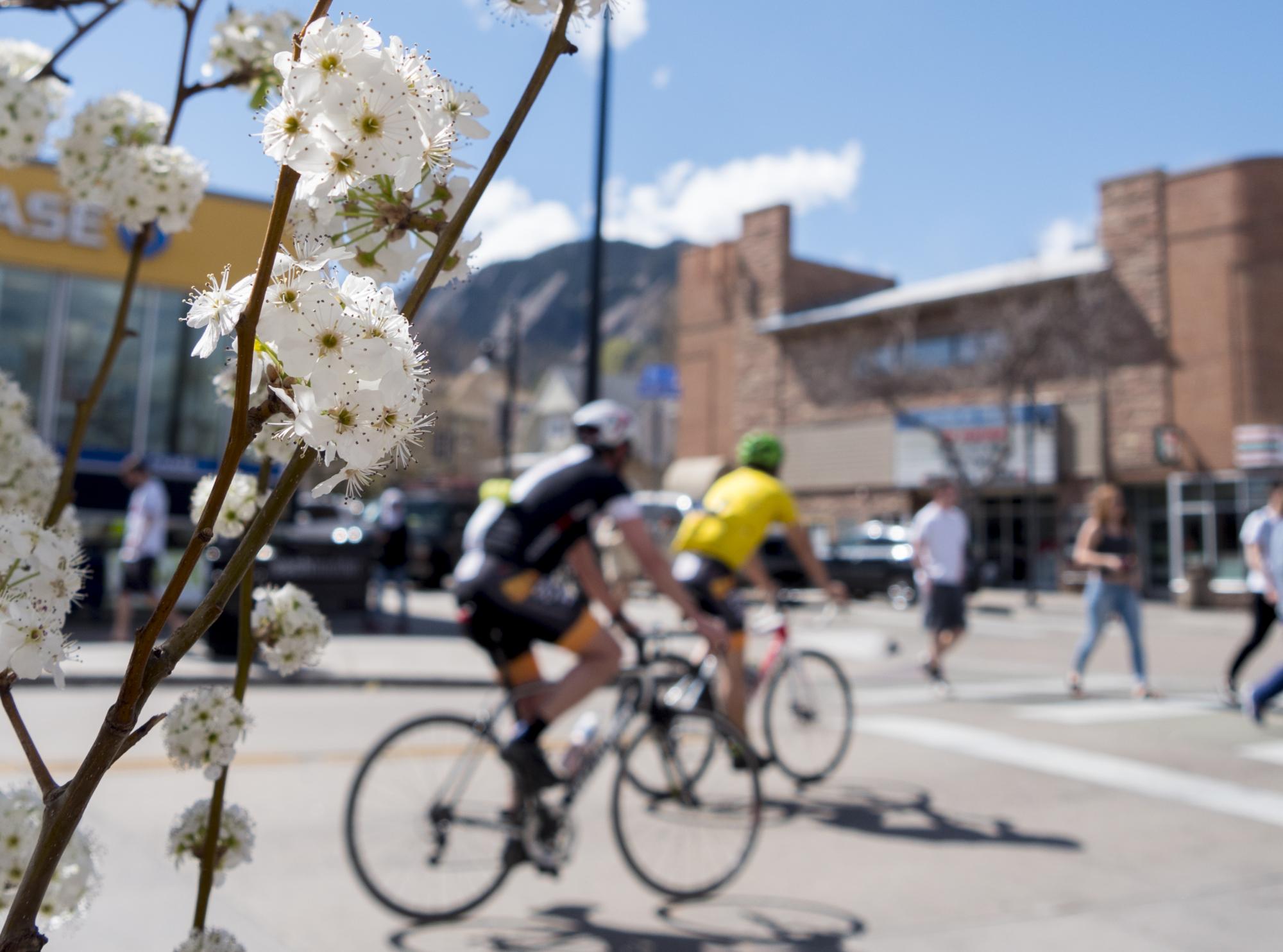 CU, city and Downtown Boulder Partnership expand ambassador program ...