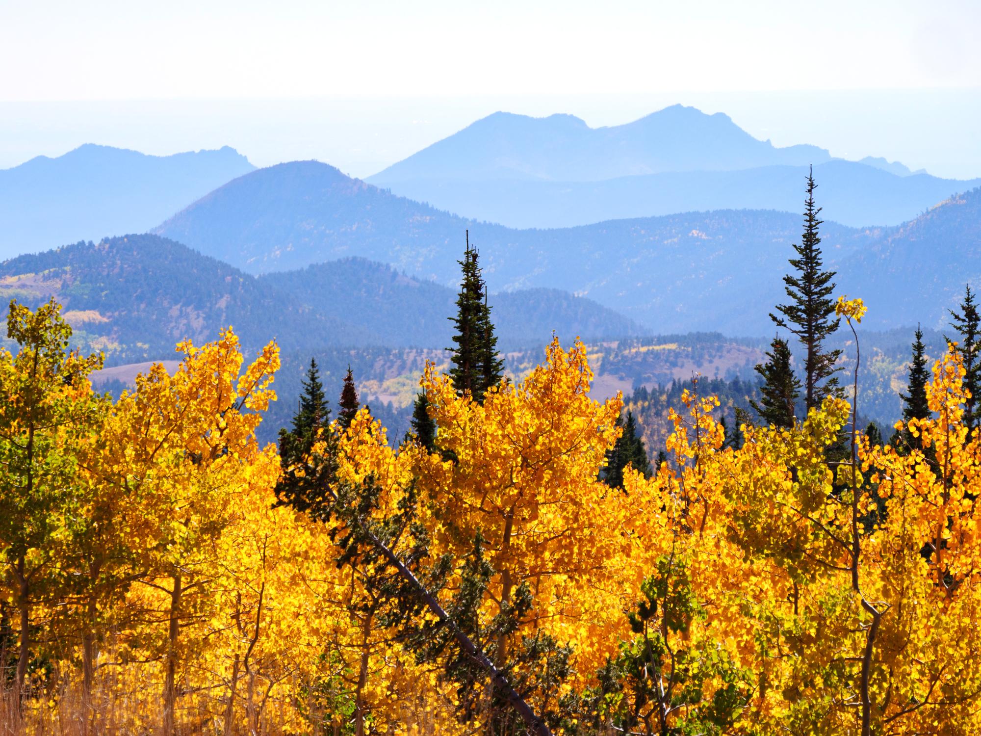 Honoring Indigenous Peoples Day: Land acknowledgments and why they ...