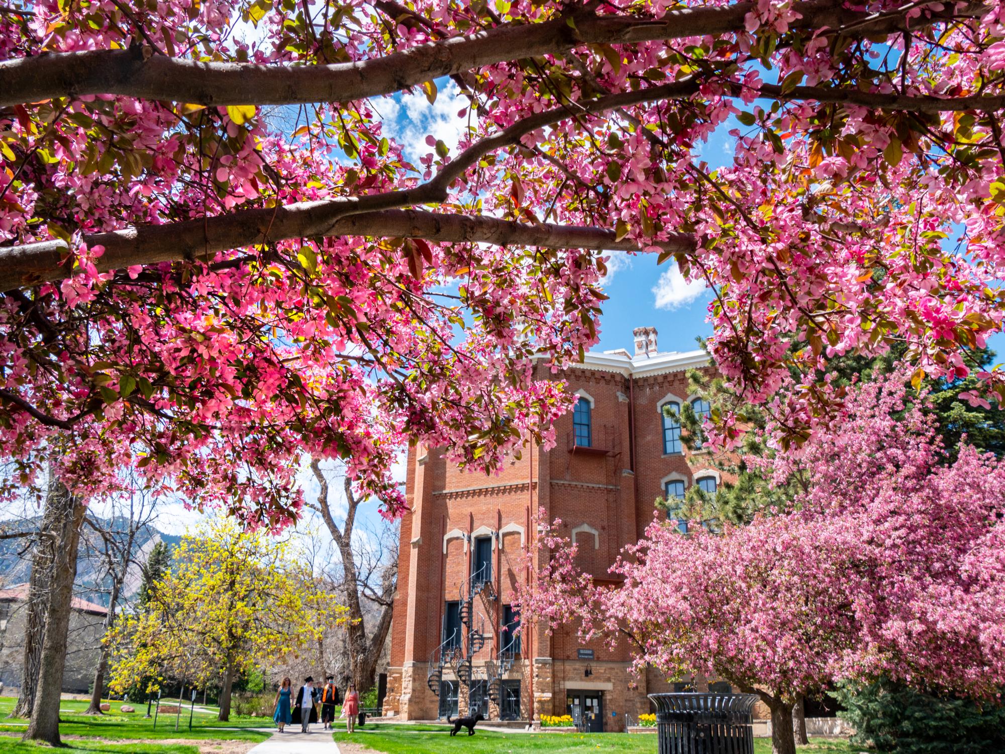 6 CU Boulder students, alumni receive 2023–24 Fulbright awards | CU ...