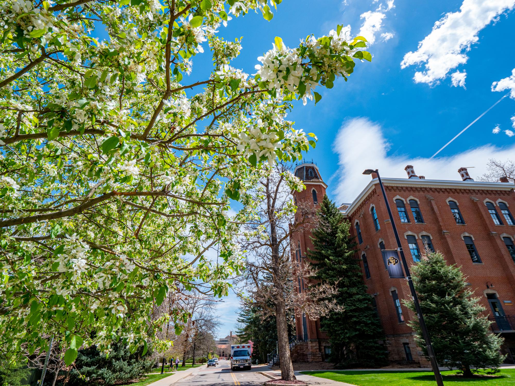 CMCI and ENVD integration advances as first milestone approaches | CU ...