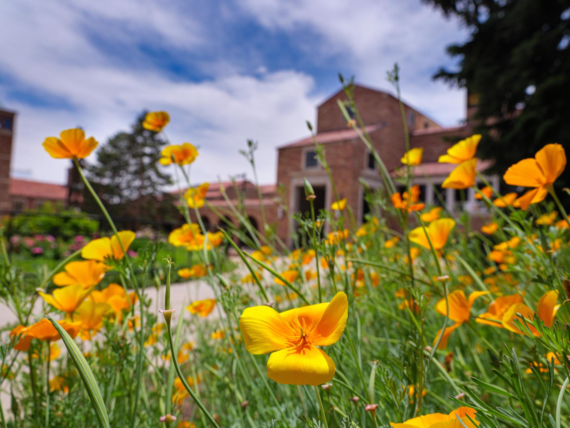 Diversity, equity and inclusion update: August 2022 issue | CU Boulder ...