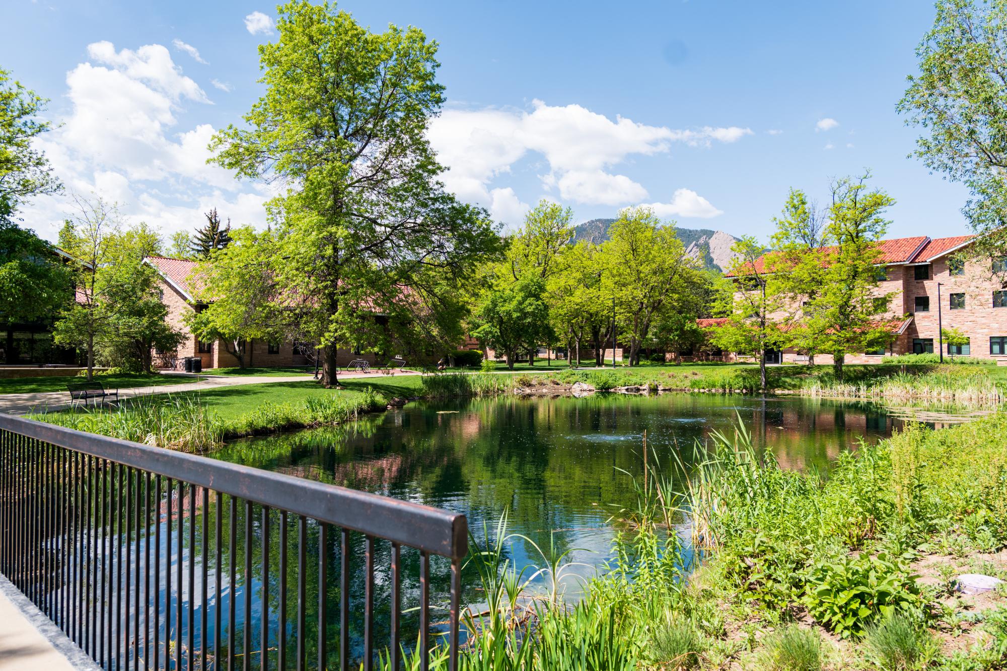 Sustainability council discusses capital prioritization process, STARS ...