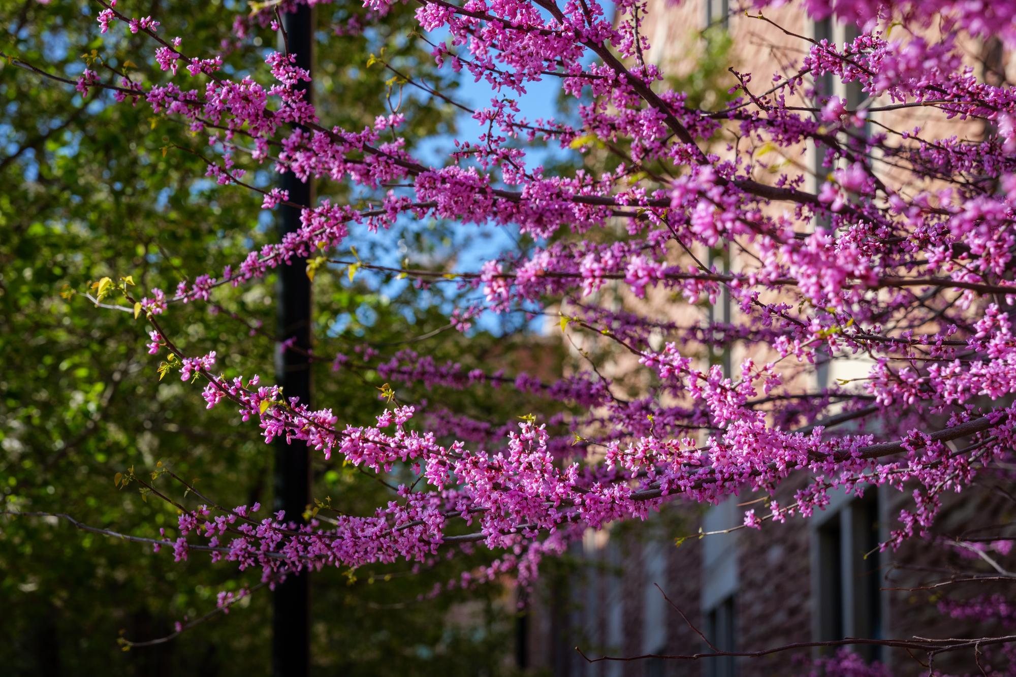 5 CU Boulder students, alumni receive 2024–25 Fulbright awards | CU ...