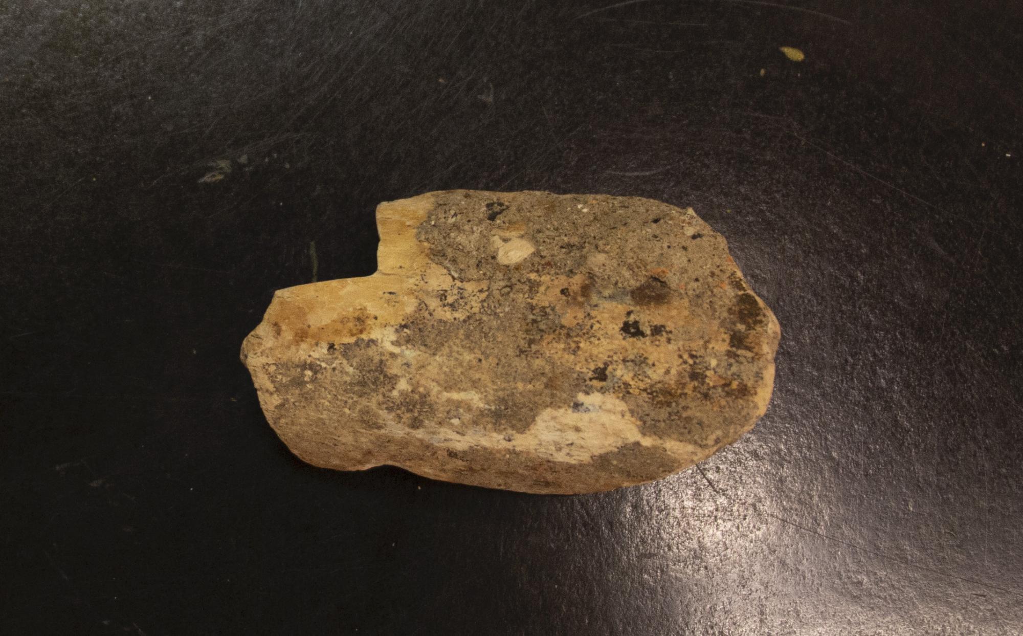 A new way to preserve ancient bones with modern technology | CU Boulder ...